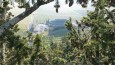 Winery Spotlight: Rued Winery