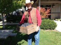 Winery Spotlight: Rued Winery